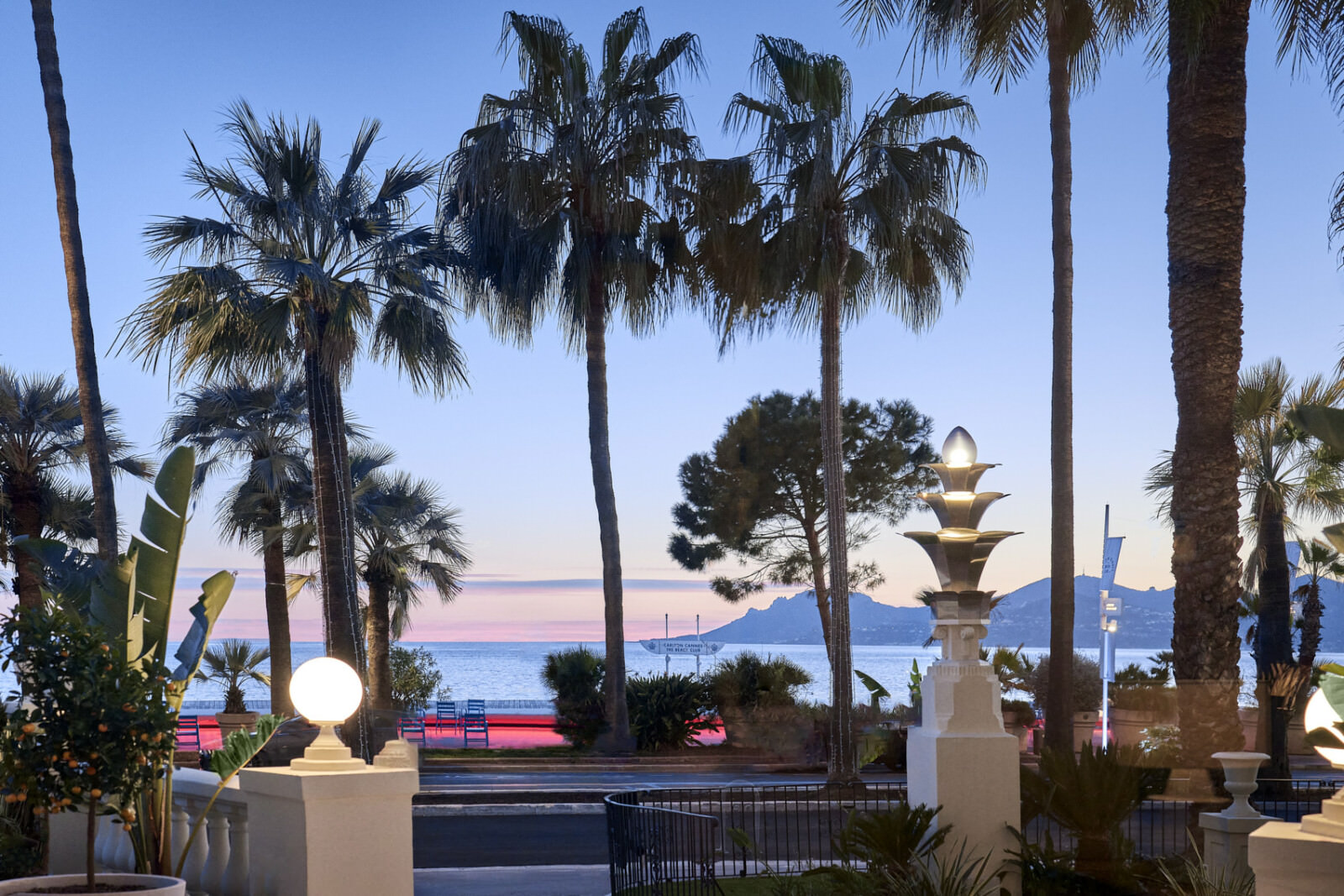 Photo Gallery - Carlton Cannes