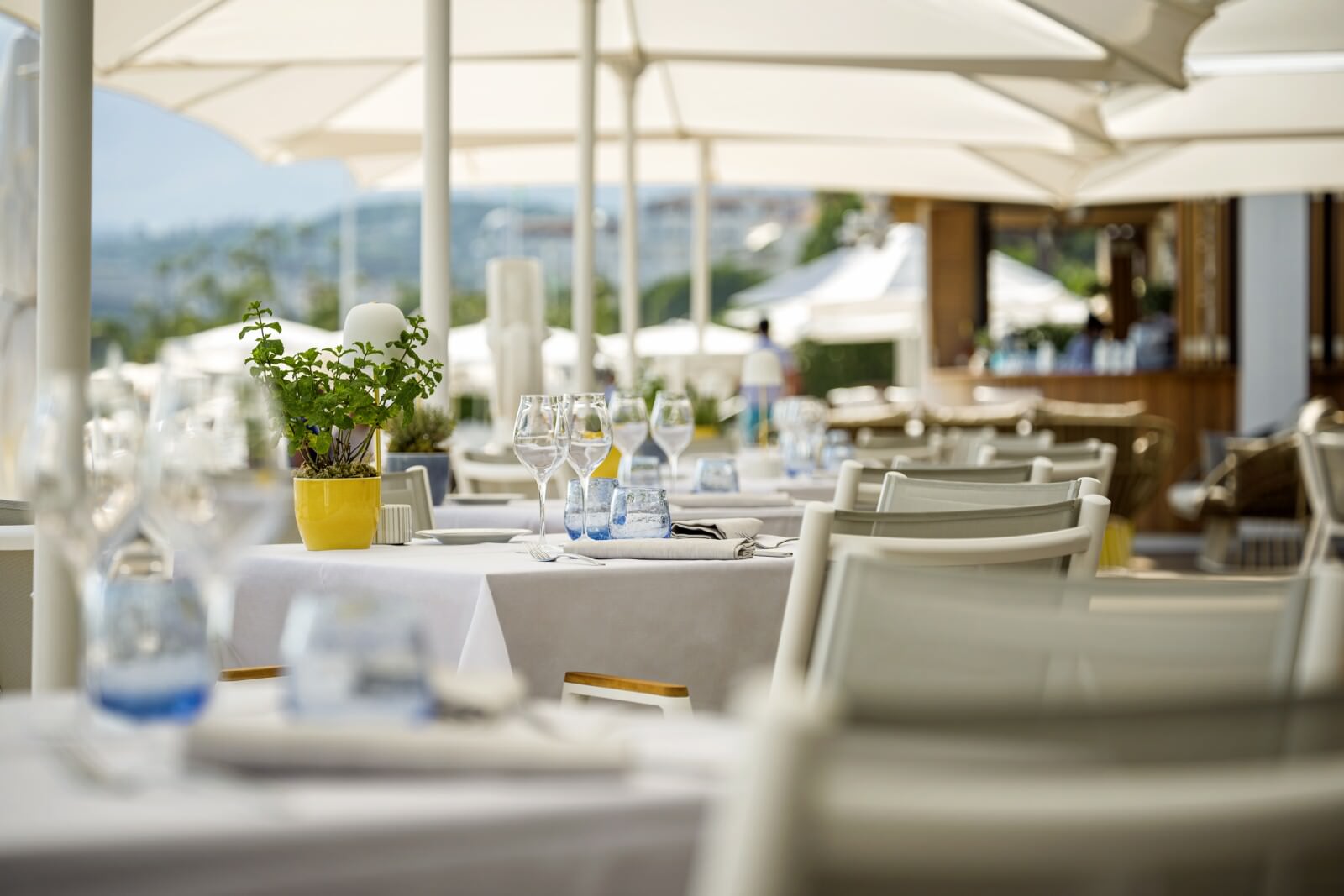 Photo Gallery - Carlton Cannes